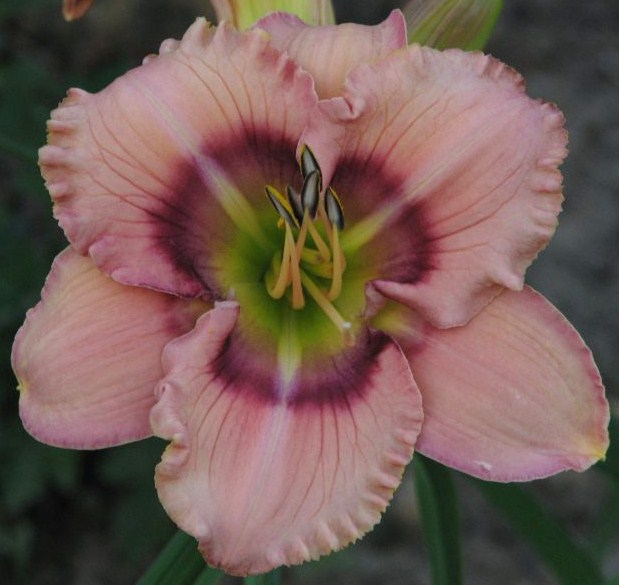 index-korsningar0351-0400